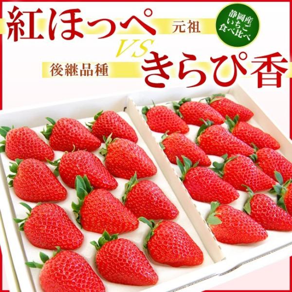 静岡産いちごの食べ比べをお楽しみください お届けするのは立派な特大サイズ！◆静岡産いちご「紅ほっぺ」12or15粒入（約450グラム前後）◆静岡産いちご「きらぴ香」12or15粒入（約450グラム前後）※当日の仕入れにより12粒入りもしくは...