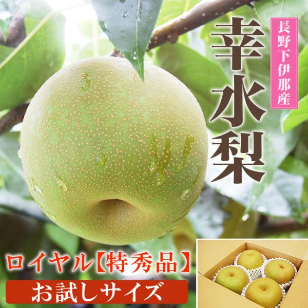 ◆長野下伊那産幸水梨【ロイヤル】4個 【ロイヤル】は秀品のさらに上を行く最高等級品です。1個につき6回もの写真撮影で外観を選別、その後光センサーで糖度12度以上を満たしたものが幸水梨の最高等級【ロイヤル】とされます。◆ご自宅用のため、化粧箱...