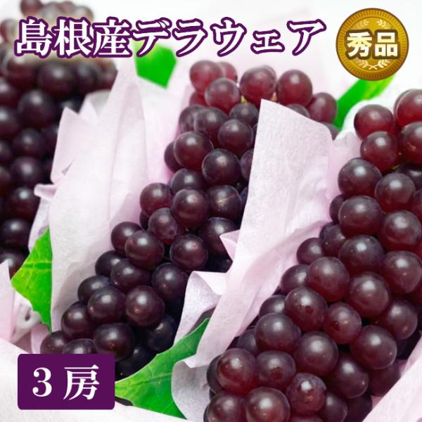 シャインマスカットなどの大粒のぶどうが多く出回る昨今ですが新年度、一番最初に入荷するぶどうが島根産デラウェアです。島根県はデラウェアの全国有数の産地。島根産デラウェアは他産地よりも早い時期から出荷が始まります。そのため、ぶどうを待ち望んでい...