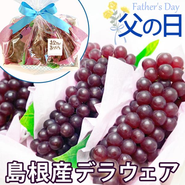 島根県はデラウェアの全国有数の産地。島根産デラウェアは他産地よりも早い時期から出荷が始まります。そのため、ぶどうを待ち望んでいた方には喜ばれる一品です。老若男女を問わず親しみを感じていただけるデラウェア。一足早い初夏の味をご堪能下さい。温室...