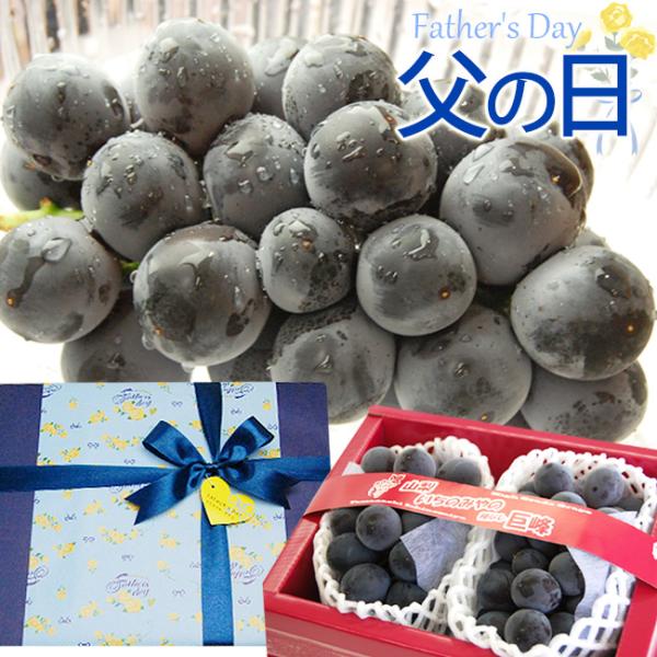 皮をむいただけで、じゅわ〜とあふれ出る果汁がとってもジューシーなぶどうの王様「巨峰」。山梨産の最高級巨峰2房（合計約800g前後）を専用化粧箱に入れ、父の日専用のラッピングを施した後、外箱にお入れしクール宅急便でお届けいたします。※ラッピン...