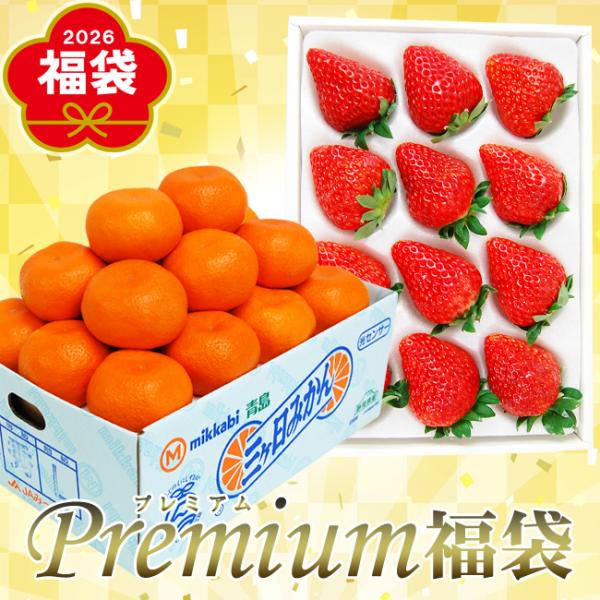 三ヶ日青島みかん【秀品】と大粒でいい香りにウットリ…静岡産紅ほっぺいちご特大サイズ(12or15粒)の２点セット！新年が良い年になりますようにと願ったプレミアムなフルーツセットです。《福袋内容》・三ヶ日青島みかん【秀品】Ｌサイズ３キロ・静岡...