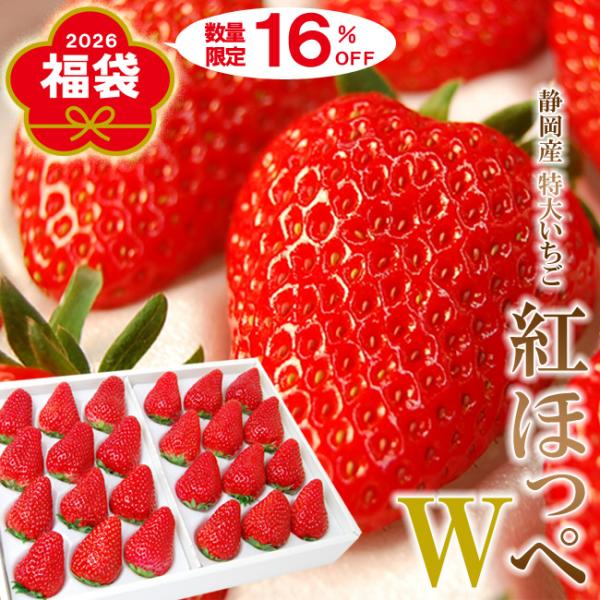 「福袋」といっても紅ほっぺいちごはドーンとお値引きでの数量限定・新春セール！２０２６年年明けに真っ赤ないちごでご家族で盛り上がるのはいかがでしょうか？静岡産紅ほっぺいちご特大サイズ(24or30粒)が元の価格が9,850円(税込・送料込)の...