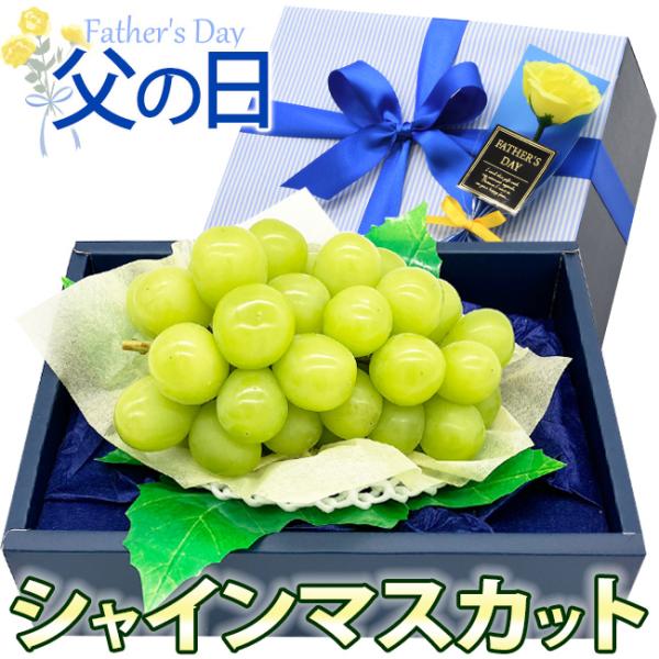 ◆山梨・長野・島根産など国産シャインマスカット秀品 1房 ◆化粧箱(縦19cm×横28.5cm×高さ12cm)にお入れしてそれをさらに外箱にお詰めして贈り物に相応しくお届けいたします。持ち運びできる袋もお付けしますので、ご自宅からのご贈答に...