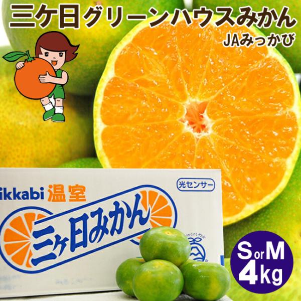 三ケ日グリーンハウスみかん（静岡県三ケ日産）【秀品】Sサイズ〜Mサイズ4キロ箱入り：三ケ日みかん専用の段ボール箱にお入れいたします。Shomeidoが店舗をかまえる地元・浜松から 自慢の三ケ日みかんがいよいよ今年も始動！トップバッターの「グ...