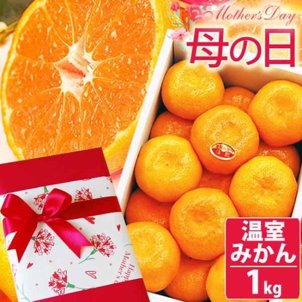 お隣の愛知県蒲郡から届いた高級温室みかんは皮は薄くて剥きやすく、とっても甘くて多汁。この時期、冷たく冷やして召し上がるのが感動的な美味しさ！すぐにお楽しみいただけますようクール宅急便でお届けいたします。愛知蒲郡産高級温室みかん【秀品】(重さ...