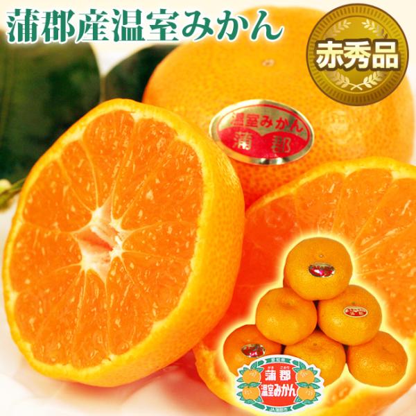 お隣の愛知県蒲郡から届いた高級温室みかんは皮は薄くて剥きやすく、とっても甘くて多汁。この時期、冷たく冷やして召し上がるのが感動的な美味しさ！すぐにお楽しみいただけますようクール宅急便でお届けいたします。蒲郡産高級温室みかん【秀品】◆Sサイズ...