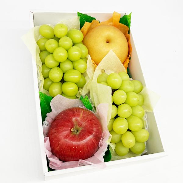 ■商品内容ぶどう2房・シャインマスカット（長野・山梨・島根産など国産）2房・梨(幸水・豊水など国産)1個 ・りんご(青森・長野など国産)1個 ■ご用途お祝い・内祝い・誕生日祝い・お見舞い・お礼・御供など贈り物全般のギフトにお使いいただけます...