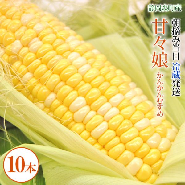 当日の早朝に収穫した甘々娘をバイヤー河原が取りに行き、さらに1本1本選果してお届けいたします。とうもろこしは鮮度が命！できる限り美味しい状態でお楽しみいただきますために、クール宅急便でお届けしています。フルーツコーンの代表格とも言える「甘々...