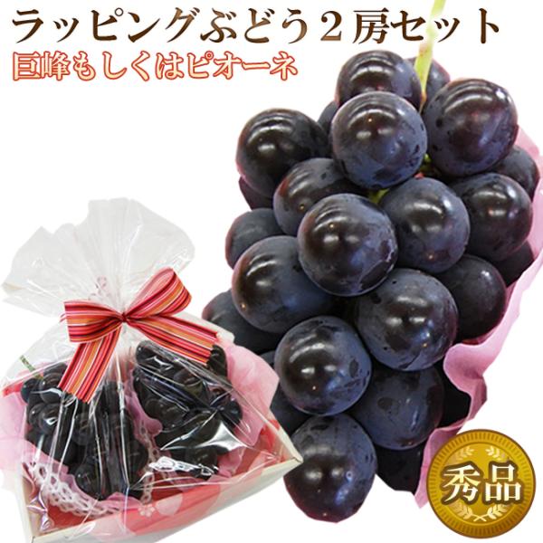 大きな粒、果房。多汁で糖度が高く、召し上がりやすさから大変に人気がある黒ぶどうを華やかにラッピングいたします！◆山梨産または長野産巨峰もしくはピオーネ2房【秀品】(合計800-1,000g前後)◆舟型の化粧箱にフルーツを詰め、セロファンとリ...