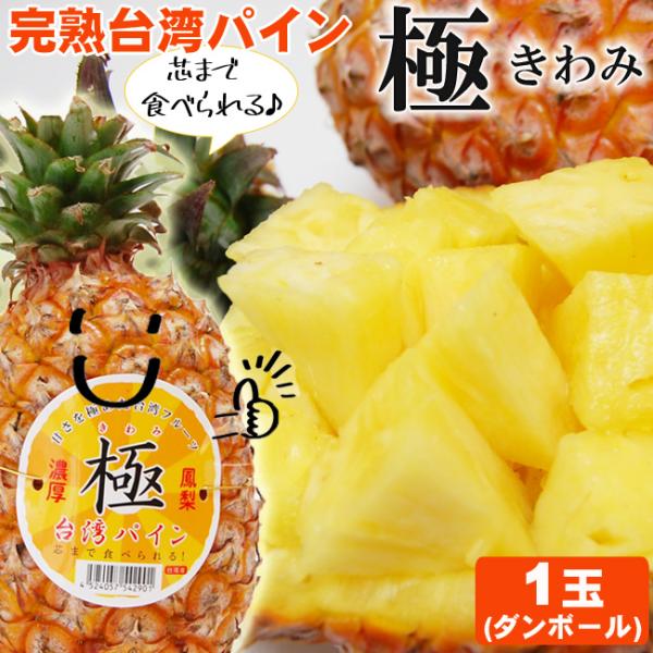 ◆台湾産 極(きわみ)台湾パイン1玉◆ダンボール箱に入れてご発送いたします。化粧箱には入っていませんのでご注意下さいませ。◆芯まで食べられるのが最大の特徴。ひとくち食べれば、あふれる果汁から深い甘みとほどよい酸味を味わうことができます。パイ...