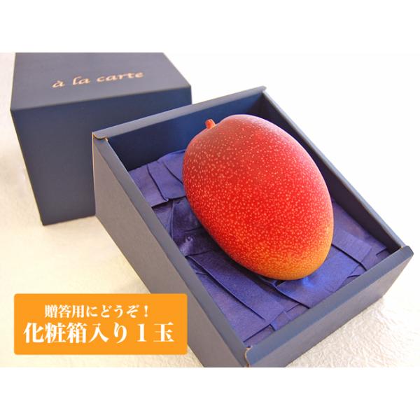 商品内容:宮崎産樹上完熟マンゴー【秀品】1個 2Lサイズ（約350〜450g前後）発送時期:3月中旬〜7月末頃配送温度帯:冷蔵 梱包サイズ:80サイズ梱包:専用の化粧箱(縦19cm×横16cm×高さ12cm)にお入れしてそれをさらに外箱にお...