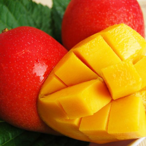 商品内容:宮崎産樹上完熟マンゴー【秀品】1個 2Lサイズ（約350〜450g前後）発送時期:3月中旬〜7月末頃配送温度帯:冷蔵 梱包サイズ:60サイズ梱包:１個入りのパックをご自宅用ダンボール箱に入れてお送りいたします。ご自宅用のため、化粧...