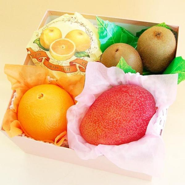 フレッシュな旬のフルーツを厳選し、ギフト用途としてラッピングいたします。【セット内容】■宮崎産完熟マンゴー【秀品】Ｍサイズ■オレンジ1個（アメリカ、オーストラリア産）■グレープフルーツ1個（南アフリカなどその他海外産もしくは国産）■キウイ2...