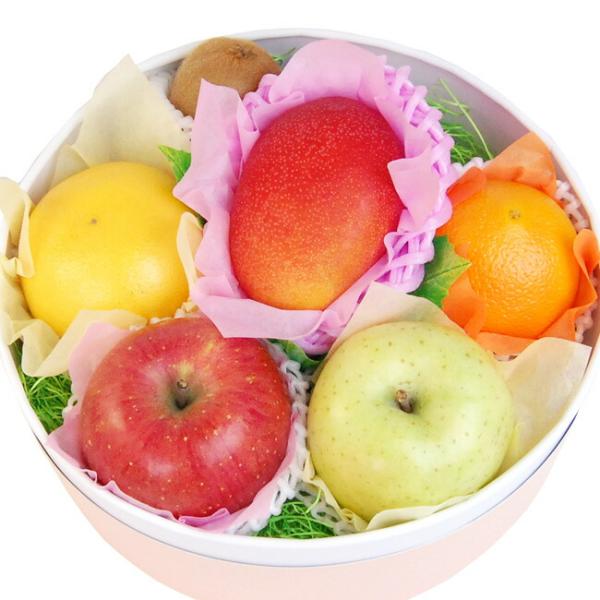 商品内容■宮崎産完熟マンゴー【秀品】1個■りんご2個（青森産）※主にサンふじorふじ、王林■キウイフルーツ1個（国産もしくはニュージーランド産）■グレープフルーツ1個（主に南アフリカ産）■オレンジ1個（アメリカ、オーストラリア産）発送時期:...