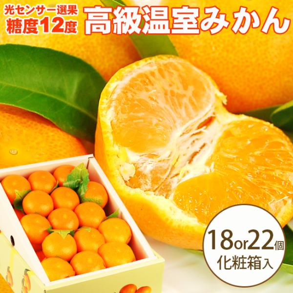 温室で大切に育てられた確かな品質。果皮、果肉の濃いだいだい色がおいしさの証です。希少な高糖度、最高等級を心を込めてお届けします。高級温室みかんSサイズ22個 or Mサイズ18個　化粧箱入り静岡浜松産【特選品】または愛知蒲郡産【赤秀品】どち...