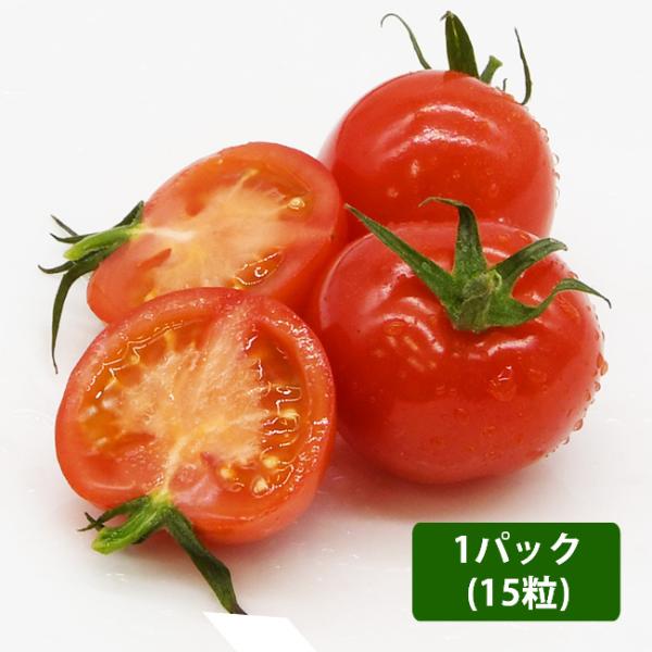 静岡産ミニトマト「プチぷよ」1パック(15粒)：160〜200g前後自宅用パックに入れてご発送いたします。※贈答用にご利用の場合は別途18粒化粧箱もございます。太陽と星が育てたトマト プチトマト 土耕栽培 有機肥料 除草剤不使用 化学合成農...