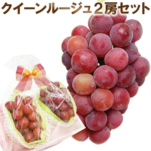 【商品内容】クイーンルージュ　2房セット（合計900-1000ｇ前後）2021年に約10年もの歳月を経て誕生！シャインマスカットを越える甘さと言われるだけあり、まるでお菓子のように甘く、ジューシーな果肉。種無しで皮ごと食べられる赤ぶどうです...