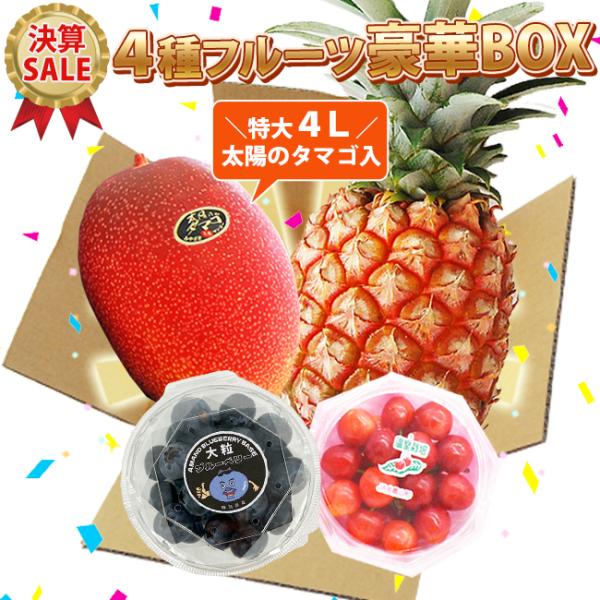 <img src="https://shopping.c.yimg.jp/lib/1999-shomeido/26sale-4box.jpg" alt="4種決算価格" width="100%"><br><br...