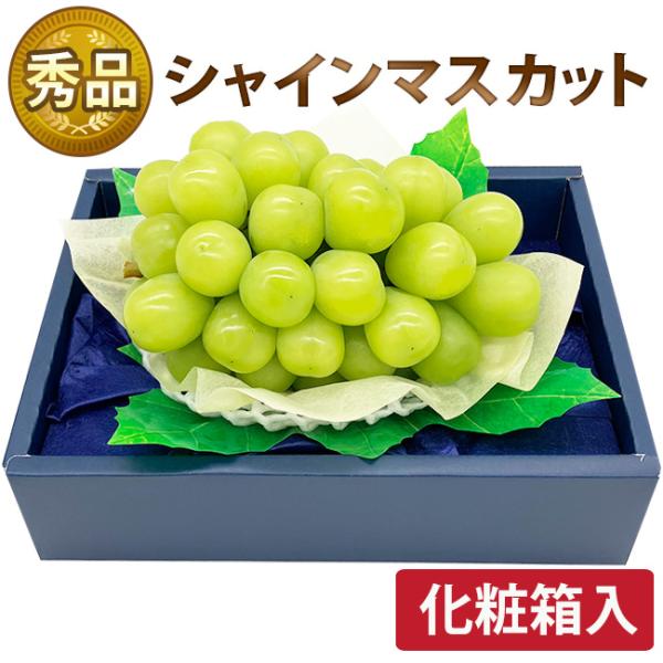 ◆山梨・長野・島根産など国産シャインマスカット秀品 1房 ◆化粧箱(縦19cm×横28.5cm×高さ12cm)にお入れしてそれをさらに外箱にお詰めして贈り物に相応しくお届けいたします。持ち運びできる袋もお付けしますので、ご自宅からのご贈答に...