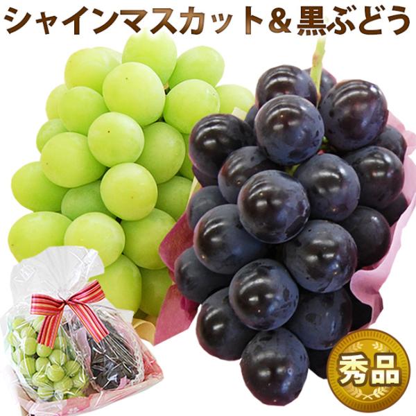 巨峰 または ピオーネ または高妻など黒ぶどうと種が無く皮ごと美味しく食べられる「シャインマスカット」を華やかにラッピングいたします。◆山梨・長野など国産巨峰 または ピオーネ または高妻など黒ぶどう1房【秀品】◆山梨・長野・島根産など国産...