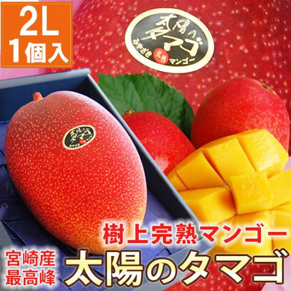宮崎産樹上完熟マンゴー「太陽のタマゴ」【秀品】1個2Lサイズ（約350〜450g前後）発送時期:4月中旬〜7月末頃配送温度帯:冷蔵 梱包サイズ:80サイズ梱包:化粧箱(縦19cm×横16cm×高さ12cm)にお入れしてそれをさらに外箱にお詰...