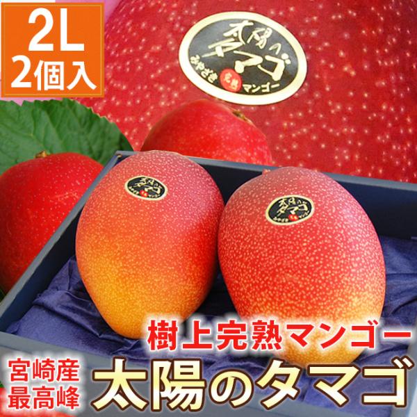 宮崎産樹上完熟マンゴー「太陽のタマゴ」【秀品】 2Lサイズ（約350〜450g前後）2個セット発送時期:4月中旬〜7月末頃配送温度帯:冷蔵 梱包サイズ:80サイズ梱包:化粧箱(縦19cm×横28.5cm×高さ12cm)にお入れしてそれをさら...