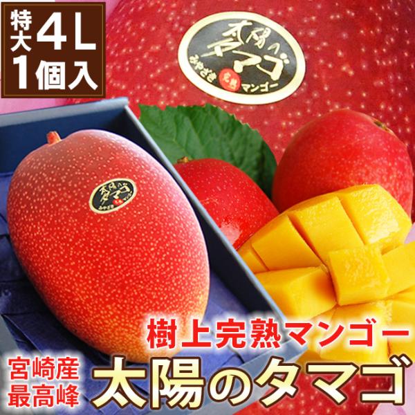 宮崎産樹上完熟マンゴー「太陽のタマゴ」【秀品】4Lサイズ 1個配送温度帯:冷蔵 梱包サイズ:80サイズ梱包:専用の化粧箱(縦19cm×横16cm×高さ12cm)にお入れしてそれをさらに外箱にお詰めして贈り物に相応しくお届けいたします。持ち運...