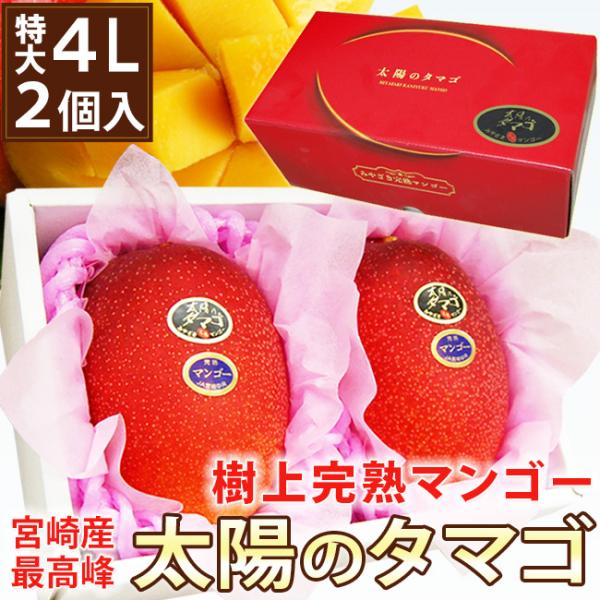 宮崎産マンゴーの中でも最高峰として名高い「太陽のタマゴ」「太陽のタマゴ」専用化粧箱(箱おおよその大きさ 縦15cm×横23cm×高さ11cm)を包装後、さらに外箱にお詰めして発送いたします。持ち運びできる袋もお付けしますので、ご自宅からのご...
