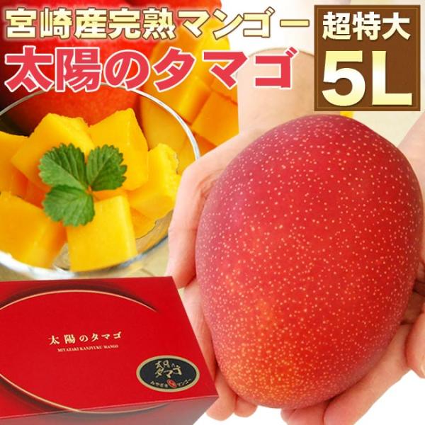 商品内容:宮崎産樹上完熟マンゴー【秀品】1個　超特大5Lサイズ (650g以上）発送時期:4月上旬〜7月末頃配送温度帯:冷蔵 梱包サイズ:80サイズ梱包:化粧箱(縦19cm×横28.5cm×高さ12cm)にお入れしてそれをさらに外箱にお詰め...