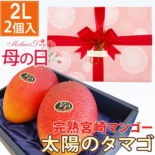 宮崎産樹上完熟マンゴー「太陽のタマゴ」2Lサイズ2個（1個あたり350-449g前後）※召し上がり方説明書入り※クール宅急便にてお届け◆オリジナルメッセージカード承ります◆化粧箱にお入れして母の日のラッピングをいたします。さらに外箱にお入れ...