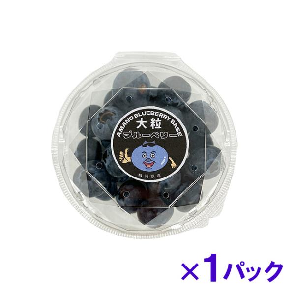 ◆静岡県浜松産 ブルーベリー    ユーリカ もしくは トワイライトなどご発送時期に入荷します品種をお手配いたします。　1パックあたり約130グラム前後パック入りをさらに外箱で厳重に梱包し、クール宅急便でお届けいたします。迅速発送 丁寧 安...