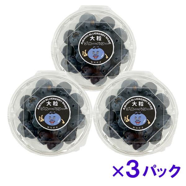 ◆静岡県浜松産 ブルーベリー    ユーリカ もしくは トワイライトなどご発送時期に入荷します品種をお手配いたします。　1パックあたり約130グラム前後パック入りをさらに外箱で厳重に梱包し、クール宅急便でお届けいたします。迅速発送 丁寧 安...