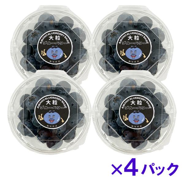 ◆静岡県浜松産 ブルーベリー    ユーリカ もしくは トワイライトなどご発送時期に入荷します品種をお手配いたします。　1パックあたり約130グラム前後パック入りをさらに外箱で厳重に梱包し、クール宅急便でお届けいたします。迅速発送 丁寧 安...