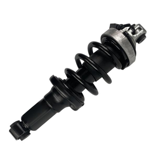 商品名:  SWSD New Air Suspension Shock Strut Replace Air Shock Absorber Shocks Fit For Audi R8 Front Right 1PC Air Suspensi...
