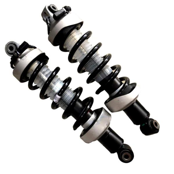 商品名:  SWSD New Air Suspension Shock Strut Replace Air Shock Absorber Shocks Fit for Audi R8 4.2 FSI(423) 2009-2015 Rear ...