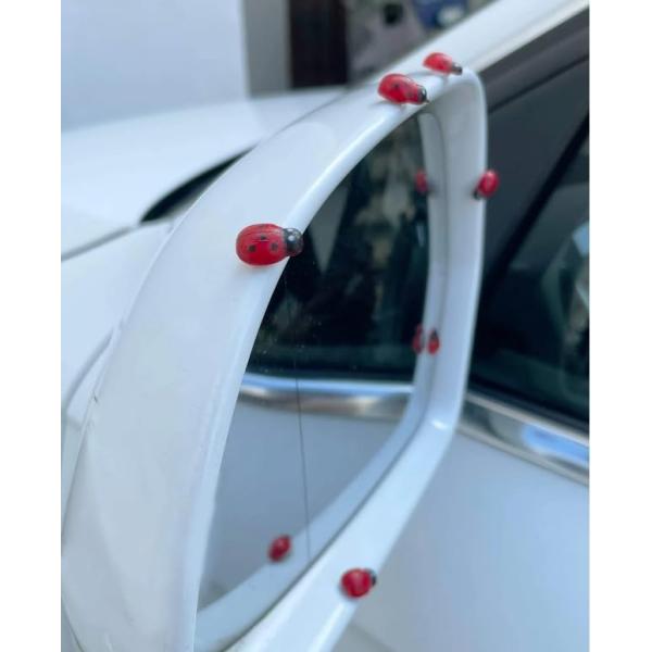 商品名:  30PCS Cute Ladybug Car Stickers, Red Self-Adhesive Ladybugs Cars Decorations Ornaments for DIY Crafts, Lady Bugs D...