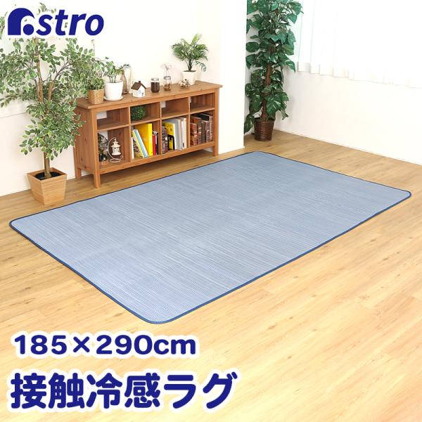 商品名:ひんやりタッチのしじら調ラグ　特大カラー:ブルー系柄:縞模様サイズ:約185×290cm材質:表地：ポリエステル100％、中材：ウレタンフォーム、裏地：ポリエステル100％内容:1枚生産国:中国【特長】●肌に触れる表地に接触冷感素材...