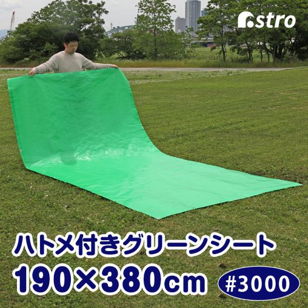 商品名:ハトメ付きグリーンシート 1.9×3.8mサイズ:約1.9×3.8mカラー:グリーン内容:1枚材質:ポリエチレン【特長】●さまざまなシーンで使える撥水性のあるハトメ付きのグリーンシート。#3000の厚手タイプ。●キャンプやバーベキュ...