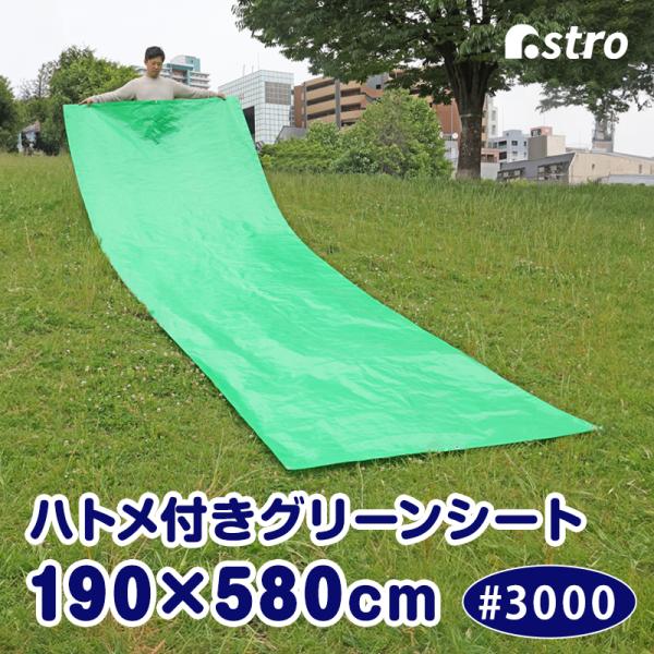 商品名:ハトメ付きグリーンシート 1.9×5.8mサイズ:約1.9×5.8mカラー:グリーン内容:1枚材質:ポリエチレン【特長】●さまざまなシーンで使える撥水性のあるハトメ付きのグリーンシート。#3000の厚手タイプ。●キャンプやバーベキュ...