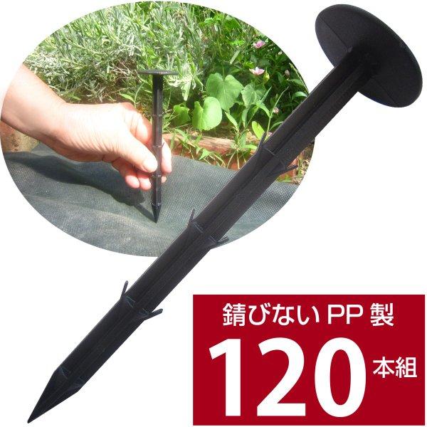 色：ブラックサイズ：全長15.5cm・頭部直径3.3cm内容：120本入り材質：ポリプロピレン・軽量でサビや侵蝕の心配がないポリプロピレン製の防草シート用固定ピン。・かえし付きでしっかり固定。抜けにくい。