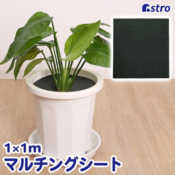 商品名:園芸用防草シート 1×1mサイズ:1×1mカラー:ダークグリーン(深緑色)内容:1枚材質:ポリプロピレン【特長】●耐候剤入りで高耐久・高透水の不織布製の防草シート。日光を遮断し光合成を妨げ雑草が生えるのを防ぐ。●通気性や水はけが良く...