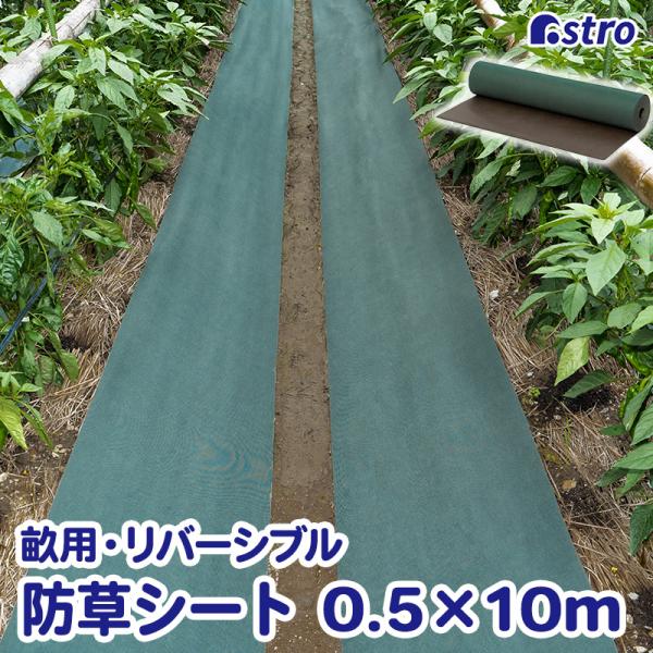商品名:防草シート 雑草ふせごウネ リバーシブル 0.5×10mカラー:グリーン＆ブラウンサイズ:約幅0.5×奥行10m材質:耐候剤配合ポリプロピレン内容:1枚生産国:中国【特長】●厚みのある太い繊維が多層に絡み合った構造で、強度を保持。耐...