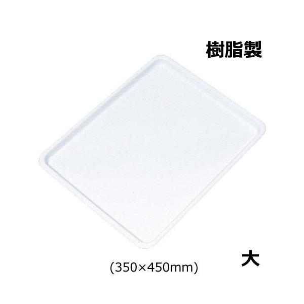 ◆インクを調合したり、ローラーに絵の具をつけるための練り板です。◆インクの洗浄には、灯油・リグロイン・ドライゾールをご使用ください。◇スチロール樹脂製　35×45cm注）ガソリン・シンナー等の強い溶剤は使用できません。