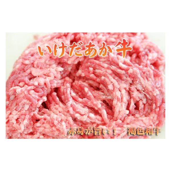 ※増量中　400ｇ→500ｇに増えています。※真空袋も普通のに変更中です。いけだあか牛の挽き肉商品です。今まで販売していなかったのが、不思議なぐらいの商品です。いけだあか牛のスネをメインに挽き肉にしています。粗挽きなので、牛肉の食感が楽しめ...