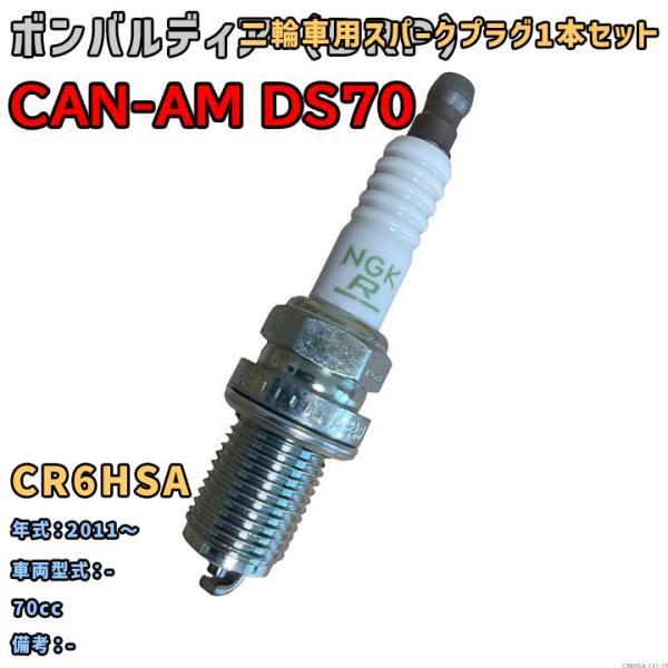 商品種別 スパークプラグメーカー NGKシリーズ レジスタープラグ品番 CR6HSAセット本数 1【参考取付車種】メーカー ボンバルディア（ＢＲＰ）車種名 CAN-AM DS70排気量 70型式 -年式 2011〜仕様 -※ご注意※取付作業...