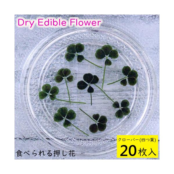 エディブルフラワー（食用花）のドライフラワー！お料理やお菓子作りのアクセントやハンドメイドなど使い方は多種多様。お花と違い、乾燥しているため長期保管が可能なので手軽にご家庭でご使用いただけます。(店内検索用:ドライフラワー　エディブルフラワ...