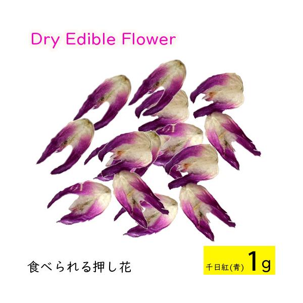 エディブルフラワー（食用花）のドライフラワー！お料理やお菓子作りのアクセントやハンドメイドなど使い方は多種多様。お花と違い、乾燥しているため長期保管が可能なので手軽にご家庭でご使用いただけます。【千日紅(青)】千日紅は一年草ですが、真夏の大...