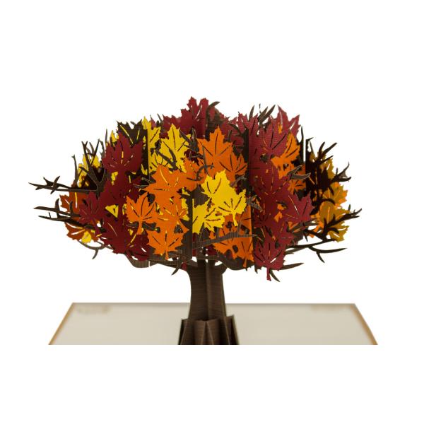 ■ブランド名 Diese Klappkarten ディーゼ クラップカルテン■商品説明 こんなカードを見たことがありますか？ドイツのハンブルグに拠点を置く会社がスタートさせたメッセージカード、ディーゼ クラップカルテン。カードを開くと、そこ...