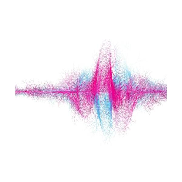 カラーバリエーションなし/-/-・SRCL-12775